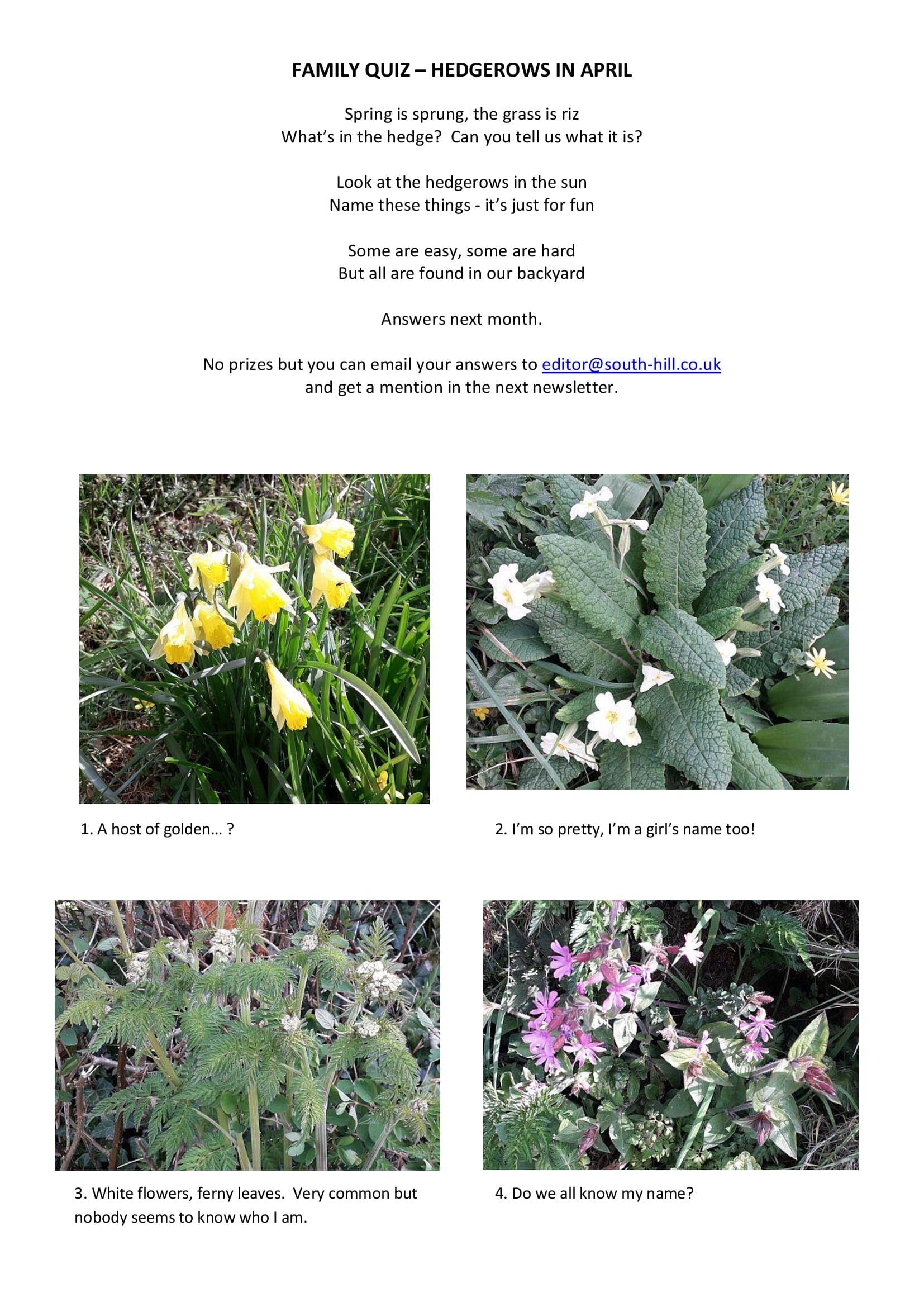 Family Quiz – Hedgerows in April | South Hill Connection