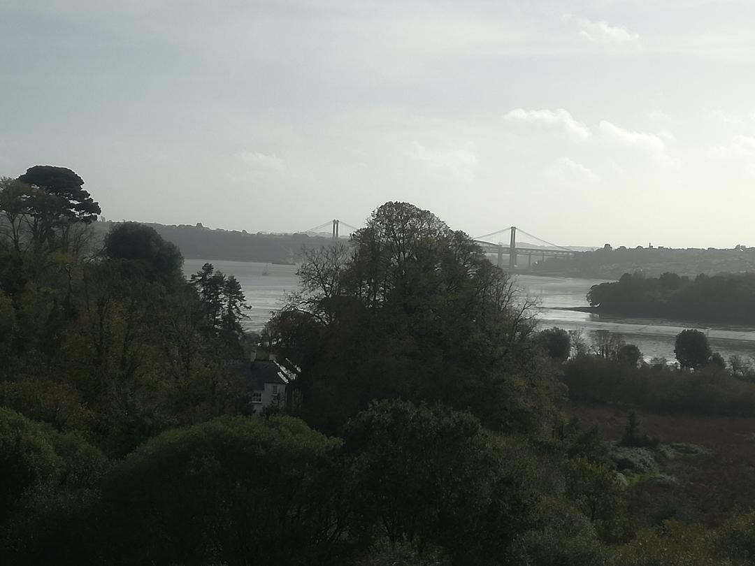 News | South Hill Connection | website and newsletter serving the ...